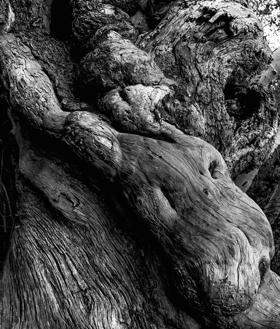 Fine Art Photography